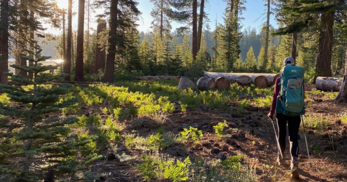 Outdoor Adventures for All Skill Levels